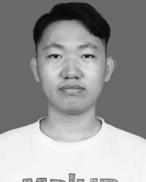 A Parallel Short-Term Power Load Forecasting Method Considering High ...