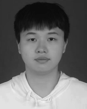 Block Cipher Identification Scheme Based on Hamming Weight Distribution ...