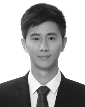 Adaptive Neural Stochastic Control With Lipschitz Constant Optimization | IEEE Journals ...